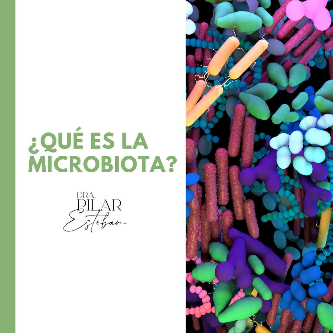 ¿Qué es la microbiota? – Dra. Pilar Esteban